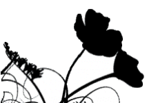 Stephanie Pearson King Design, Las Vegas, Interior Design